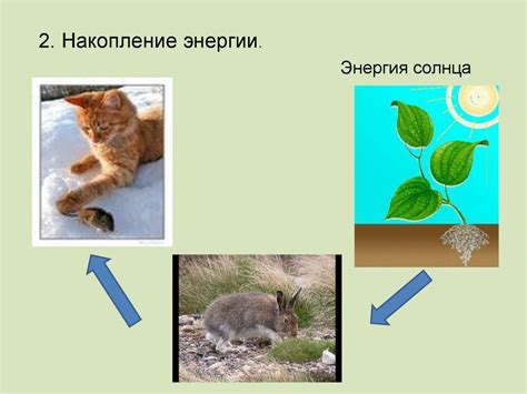 Космическая роль растений - презентация онлайн