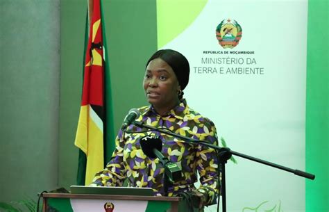 Desflorestação Leva à Emissão De 40 Milhões De Toneladas De Gases Com Efeito De Estufa” Ivete