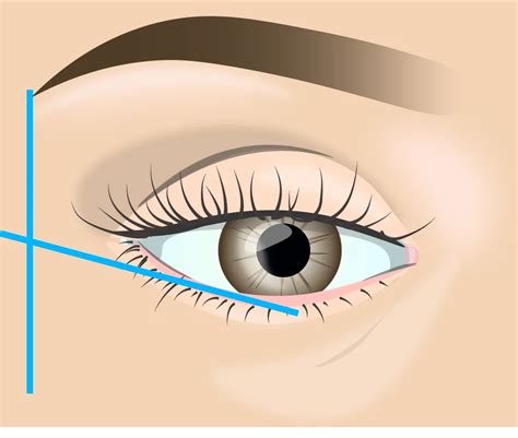 Растушеванная стрелка - макияж, который идет почти всем. Легкий ...