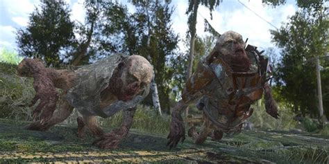 Facts You Didnt Know About Ghouls In Fallout 4
