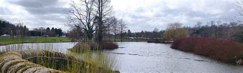 Jcb Lake Circular 9 Reviews Map Staffordshire England Alltrails