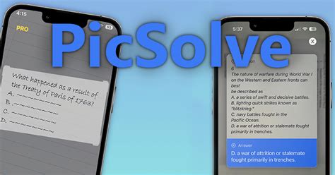 The Diagram Shows The Results Obtained From One Section Of Dna After Dna Fingerprinting A Cat