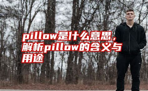 Pillow是什么意思，解析pillow的含义与用途 子期号