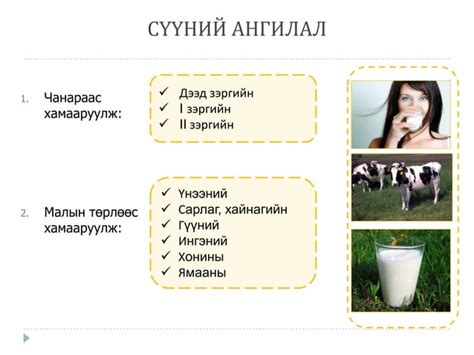 сүү сүүн бүтээгдэхүүний амтлагаа Pptx