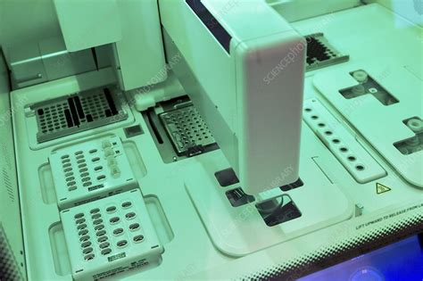 Dna Genotyping And Sequencing Stock Image C0386481 Science Photo Library