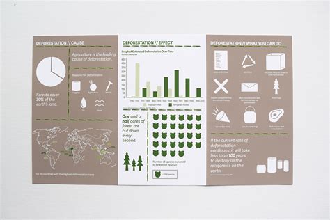 Deforestation Pamphlet On Behance