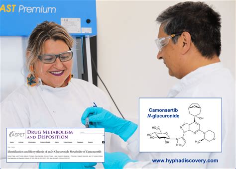 Identification And Biosynthesis Of An N Glucuronide Metabolite Of Camonsertib Hypha Discovery