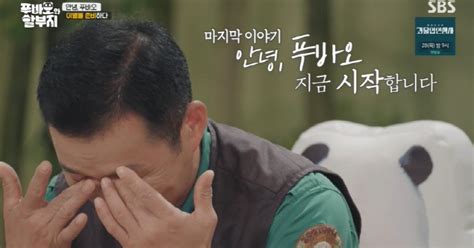 강철원 사육사 푸바오 내년 초 中 반환이별 아쉽지만 당연한 삶 푸바오와할부지 종합