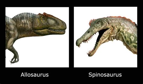 Dinosaurer T Rex Vs Allosaurus