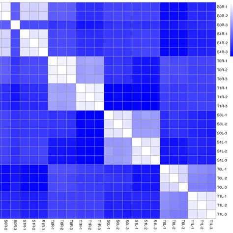 Heat Map Of Correlation Coefficient Between Samples Download