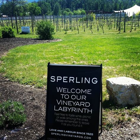 Relax In The Sperling Vineyard Labyrinth Bcwinetrends