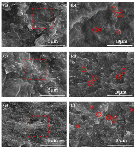 Polymers Special Issue Functional Polymers Interaction Surface Processing And