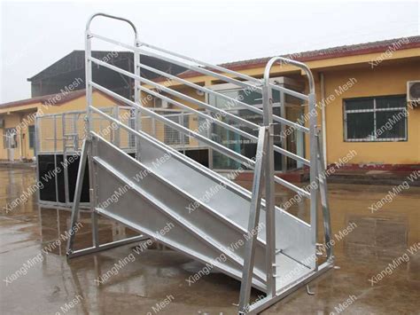 Cattle Loading Ramp