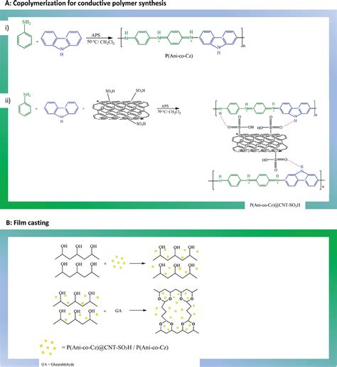 Synthesis Characterization And Properties Of Sulfonated Cnt‐doped Polyaniline‐co‐carbazole