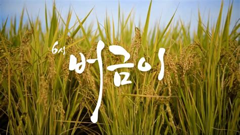 소개영상 Youtube