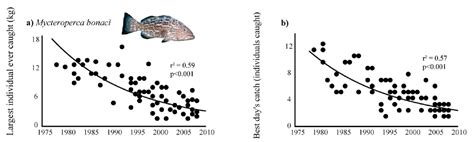 Virginia Tech Ichthyology Class Groping With Multiple Risks On Grouper Populations By Don Orth