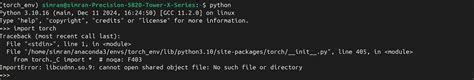 Pytorch Import Leads To Libcudnn Error Pytorch Forums