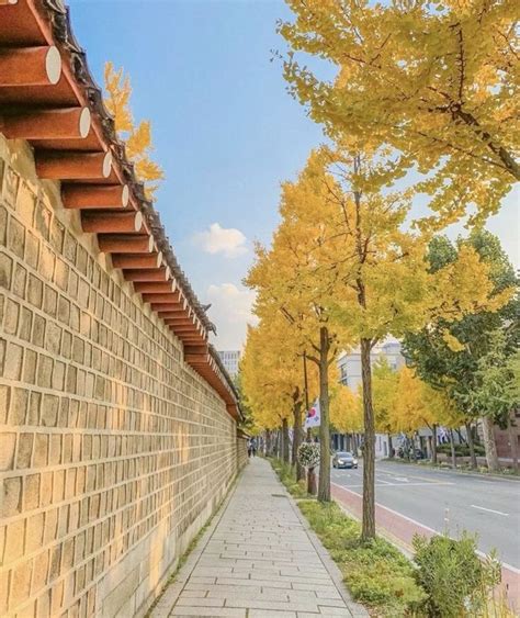 Корея улицы в Корее Korea Южная Корея 한국 Mediterranean Landscaping Scenery Landscape