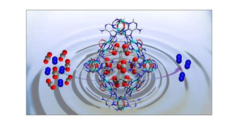A Robust Adenine Based Microporous Metalorganic Framework With Hydrophobic Alkyl Groups And