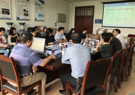 中石油经济技术研究院天然气市场研究所 陈蕊所长一行来中心访问交流 四川石油与天然气发展中心
