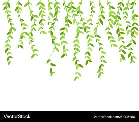 Hanging Plants With Green Leaves Simplistic Vector Image