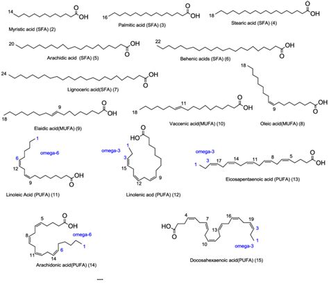 Omega Six Fa Molecular Structure
