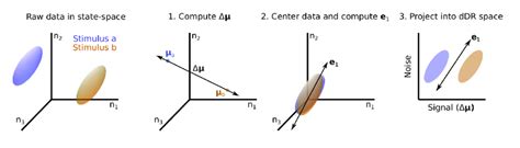 decoding based dimensionality reduction ddr left to right responses download scientific