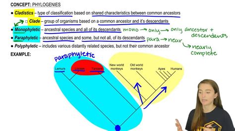 Cladistics Examples