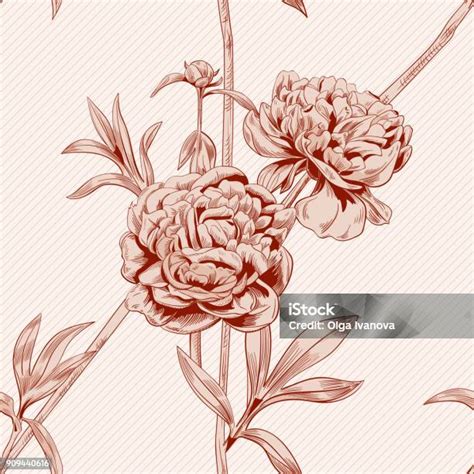 벡터와 갈색 흑백 모란 꽃 새싹 줄기 사각 꽃 완벽 한 패턴 빈티지 배경 디지털에 나뭇잎 그리기 그림 스타일 조각에서 벡터 카네이션에 대한 스톡 벡터 아트 및 기타 이미지