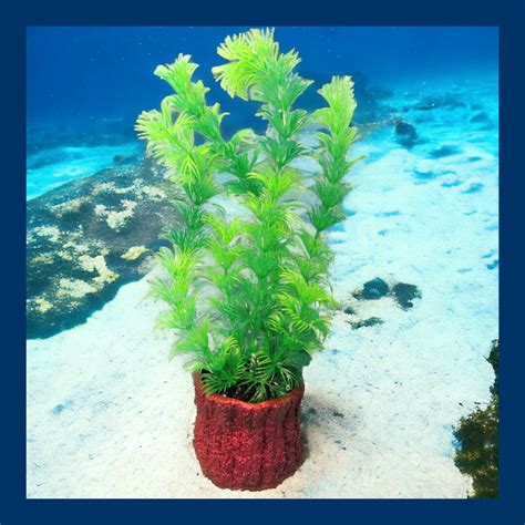 Large Tree Stump Aquarium Decoration Dark Red With Green Artificial Plant Heavy Fish Tank