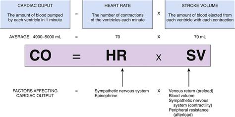 Cardiovascular System Disorders Basicmedical Key
