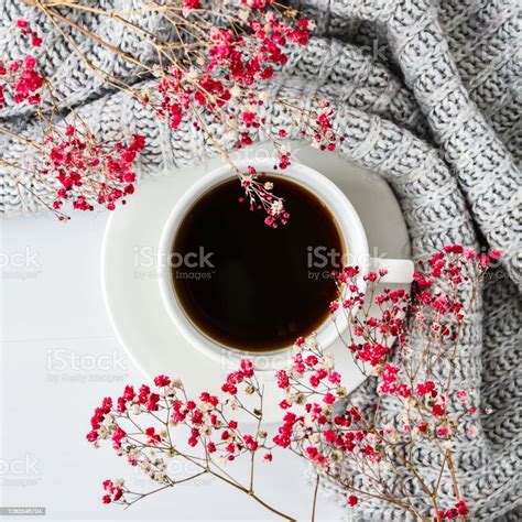 스웨터와 밝은 분홍색 꽃과 흰색 배경에 검은 커피 한 잔 플랫 레이 공간을 복사합니다 패션 컨셉 꽃 식물에 대한 스톡 사진 및 기타 이미지 Istock