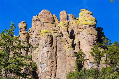 Chiricahua Images Free Download On Freepik