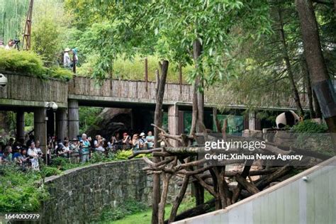 Xiao Ji Photos And Premium High Res Pictures Getty Images