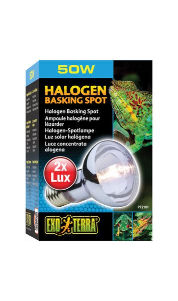 Exo Terra Sun Glo Daylight Halogen Lamp 50w Pets Domain
