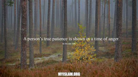 Imam Ali Patience Quotes