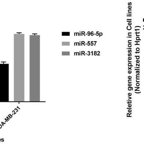 selected mirna binding sites on 3′ utr of their target mrna download