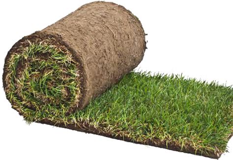 Nitrate Measurement In Turf Grass Pocket Tester Shop