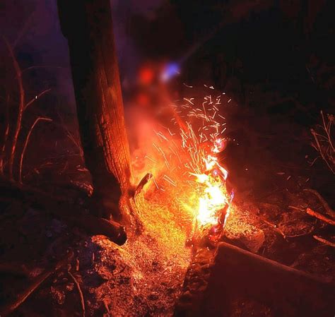 Сэлэнгэ аймгийн Ерөө суманд гарсан ой хээрийн түймрийг бүрэн унтраалаа