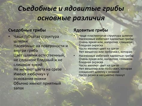 Съедобные и ядовитые грибы презентация онлайн