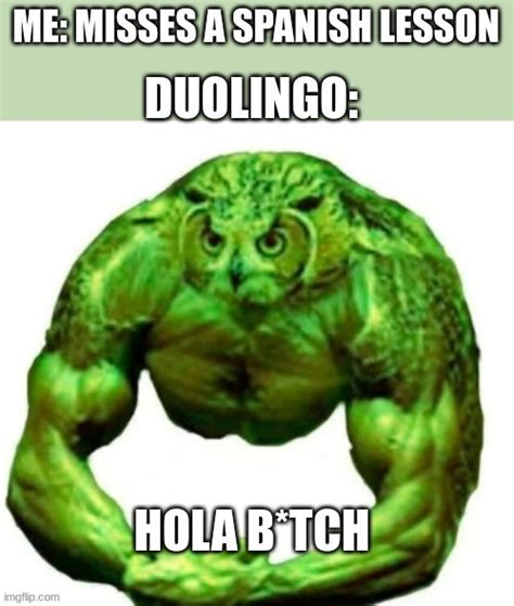 Duolingo Memes Memes And S Imgflip