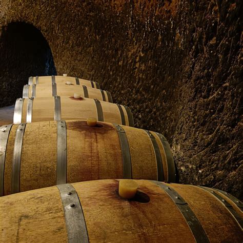 Bodega 100 Cepas Thegetawine