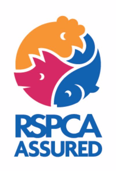 What Makes An Organic Egg Truly Organic Better Eggs