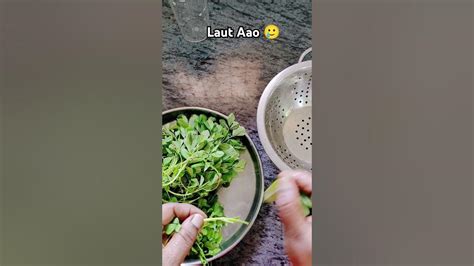 Winter Season Is The Best For Vegetarians Methi Food Trending