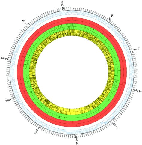 circos plot of the results of the methylation analysis starting from