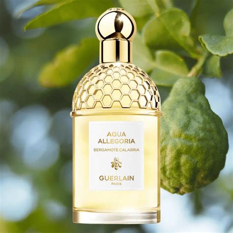 The Top 7 Bergamot Fragrances For Men & Women | SOKI LONDON