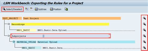 How To Transport Lsmw Objects Sap Integration Hub