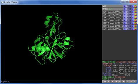 PyMOL 二次構造の割り当て DSSP