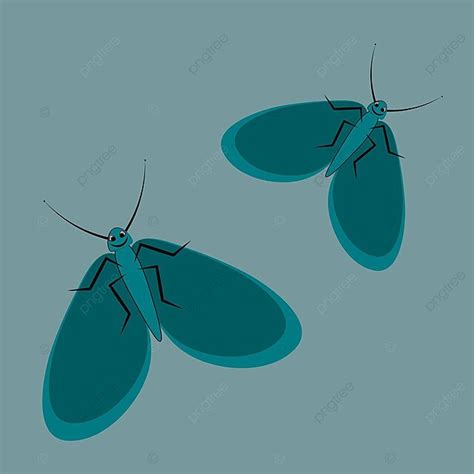 Happy Moths In Flight For Valentines Day Covers Square Moths Vector