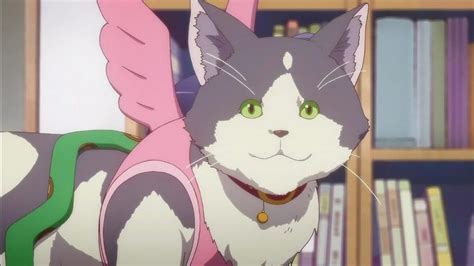 50 Most Popular Anime Cat Characters Of All Time Hood Mwr